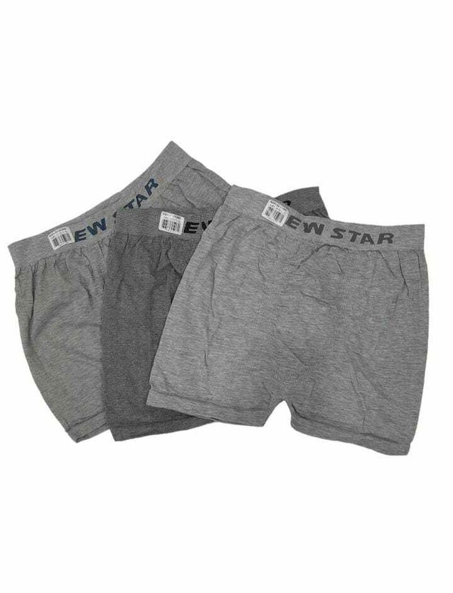 BOXER "NEW STAR" - Maricar La N1